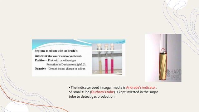 Preparation of bacterial culture media | PPTX