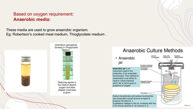 Preparation of bacterial culture media | PPTX