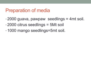 Fruit tree seedlings media preparation.pptx