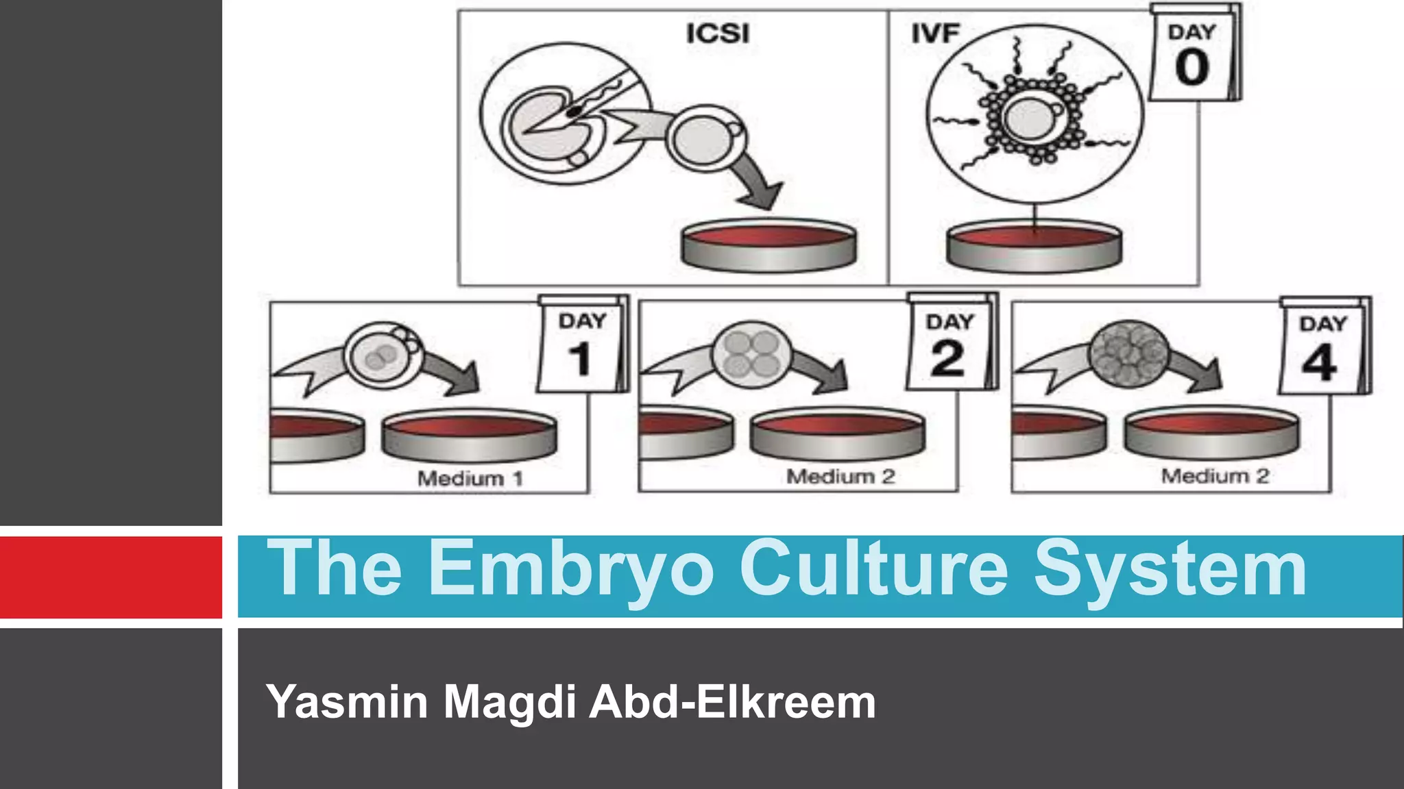Media preparation in IVF | PPTX