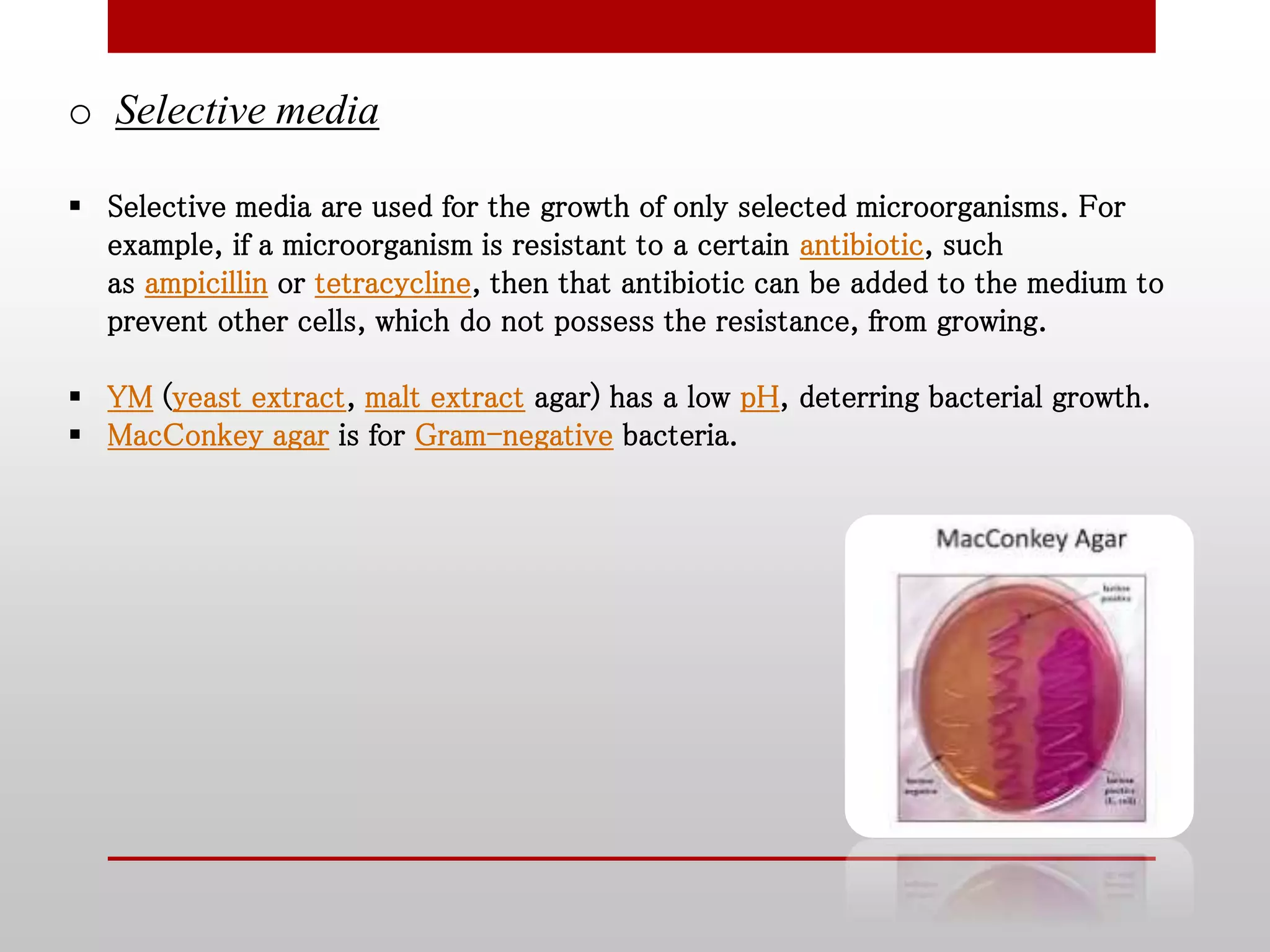 Media preparation and its types | PPTX