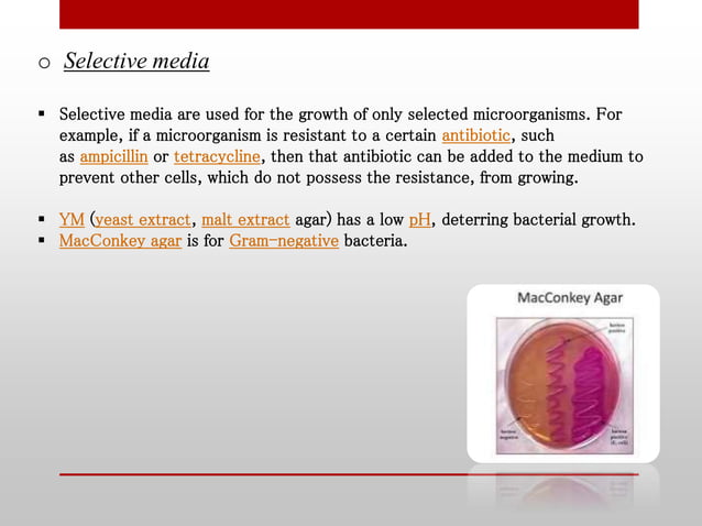 Media preparation and its types | PPTX