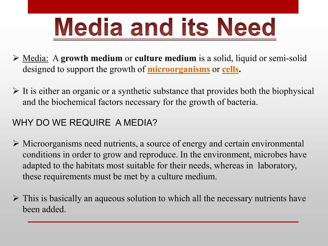 Media preparation and its types | PPTX