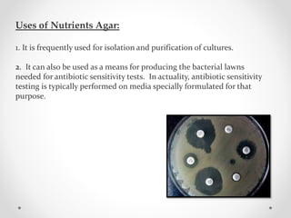 Media preparation and its types | PPTX