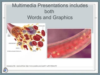 Multimedia Principle | PPT