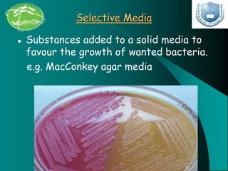 media_prof._moussa.ppt | Chemistry | Science