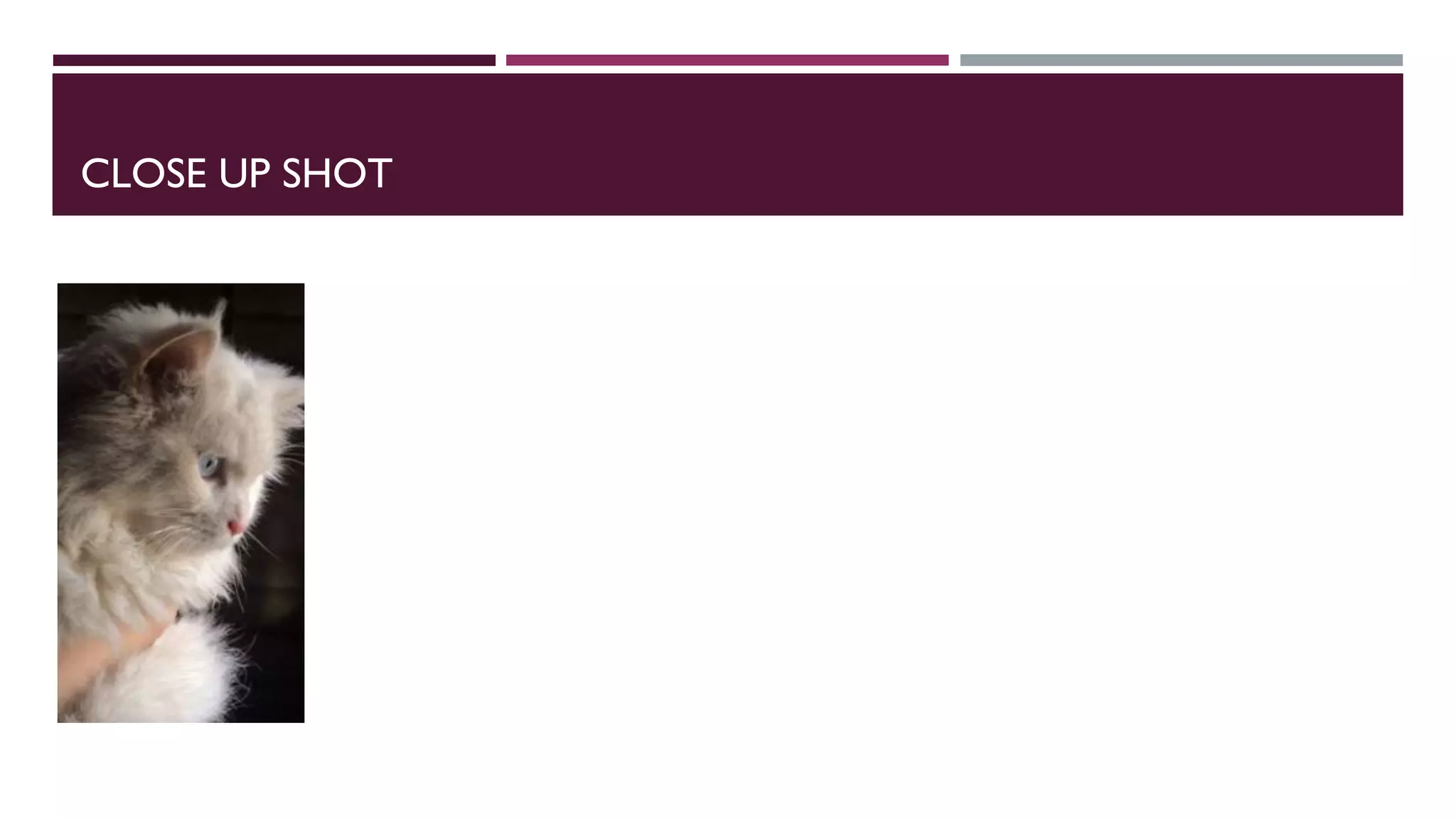 Media shots and angles eimaan.pptx