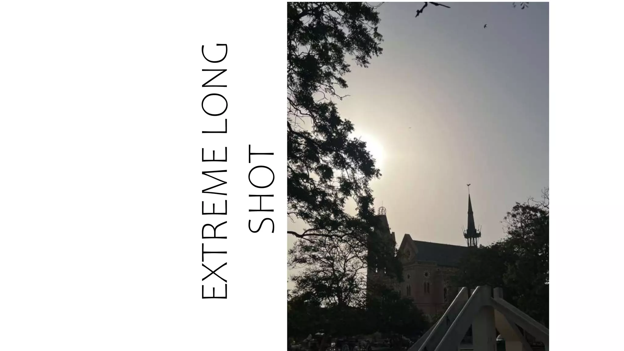 MEDIA SHOTS ASSIGNMENT.pptx