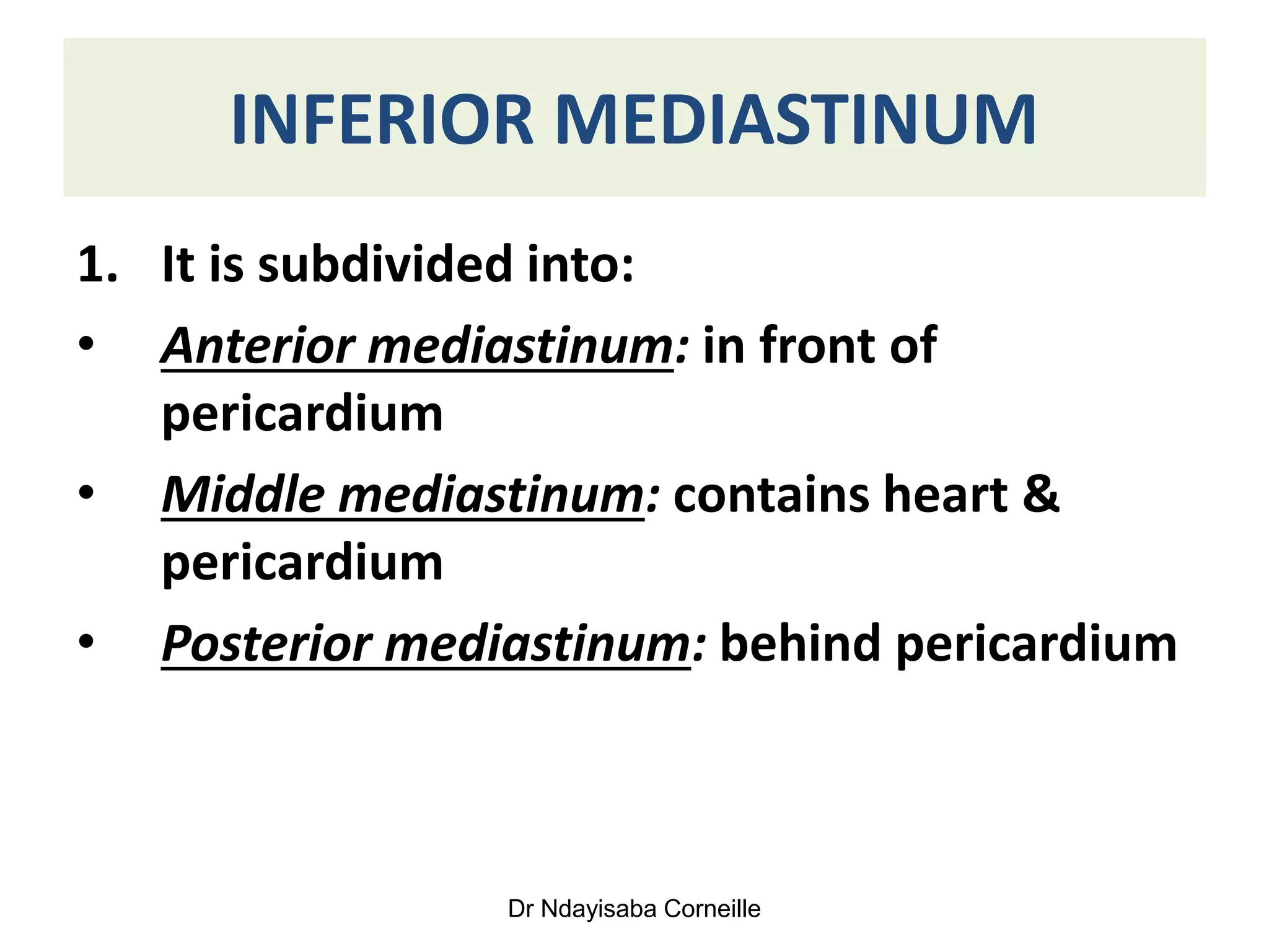 Mediasternum.pptx