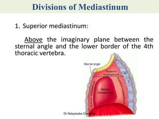 Mediasternum.pptx