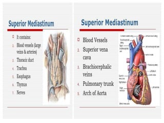 Mediastinal anatomy ,classification of mediastinal masses ans its ...