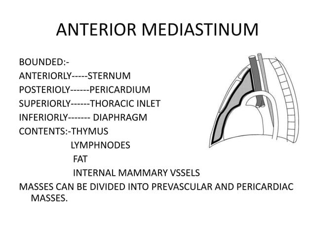 Mediastinal anatomy ,classification of mediastinal masses ans its ...