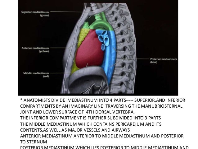 Mediastinal anatomy ,classification of mediastinal masses ans its loc…