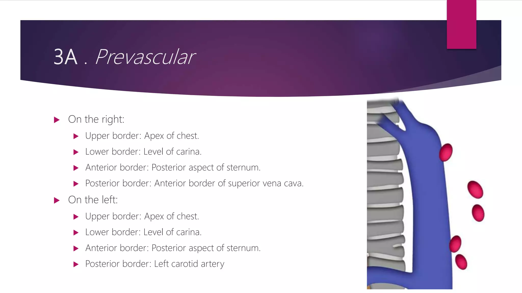 Mediastinal lymph nodes | PPTX