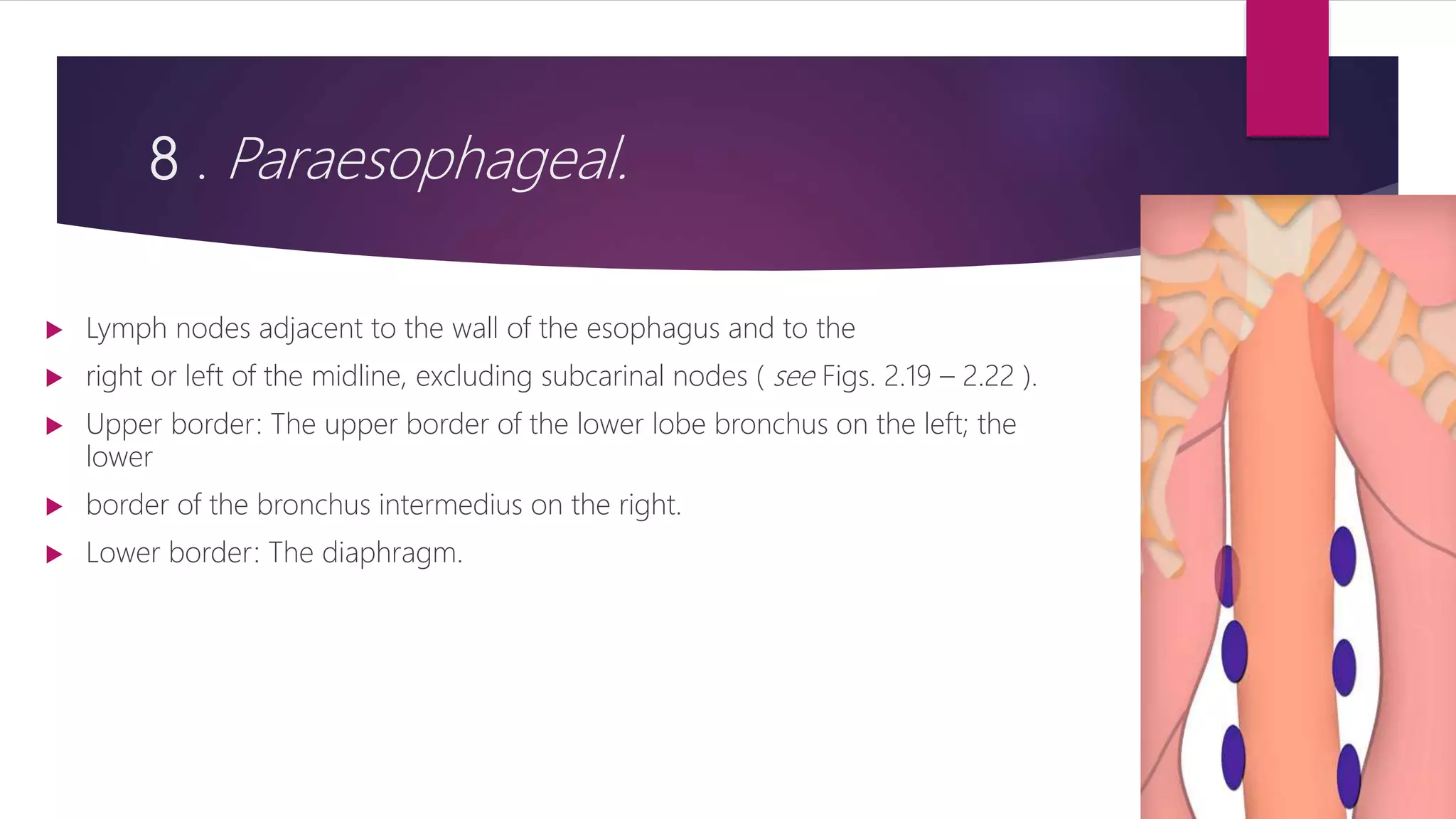 Mediastinal lymph nodes | PPTX