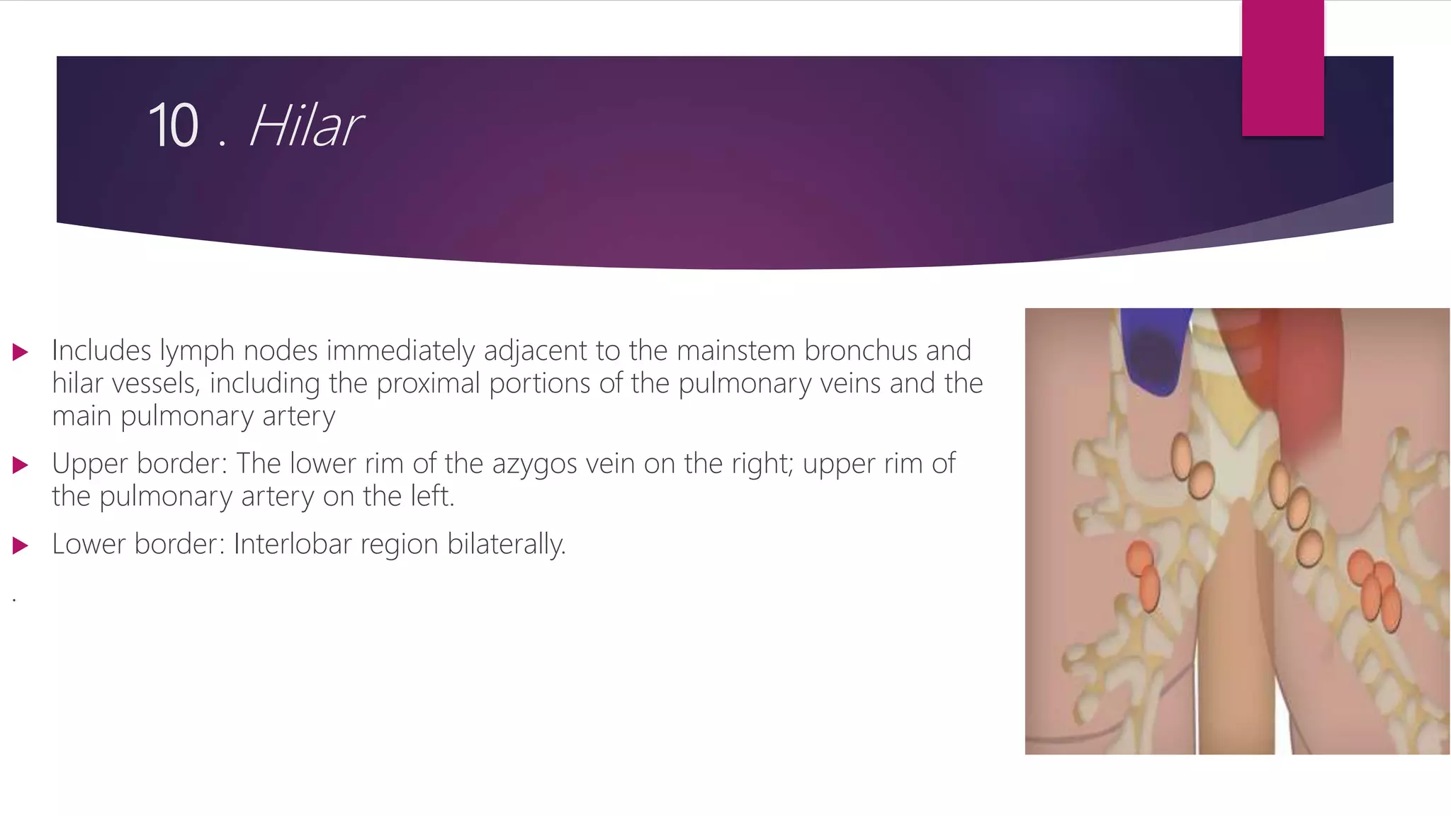 Mediastinal lymph nodes | PPTX