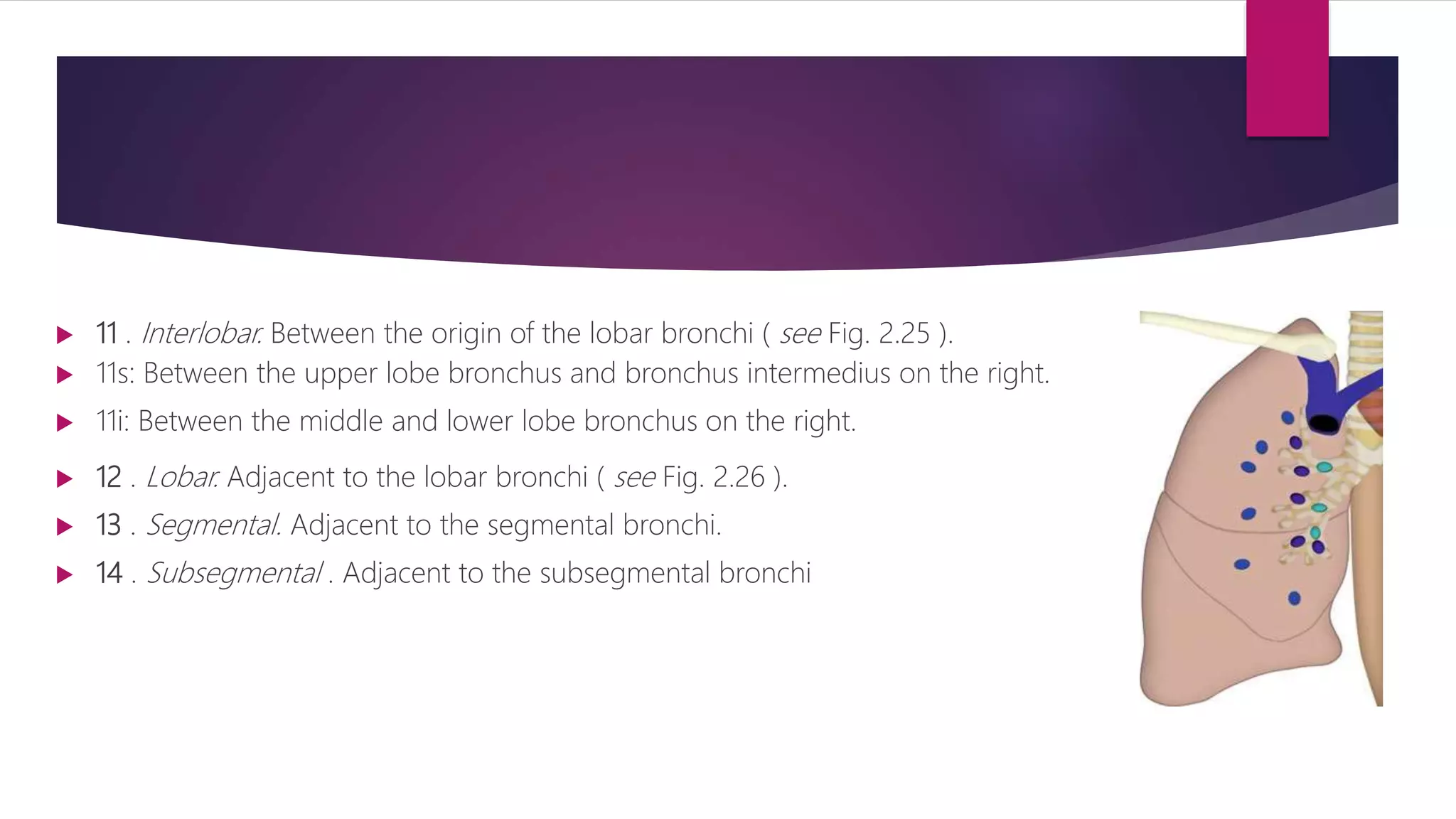 Mediastinal lymph nodes | PPTX