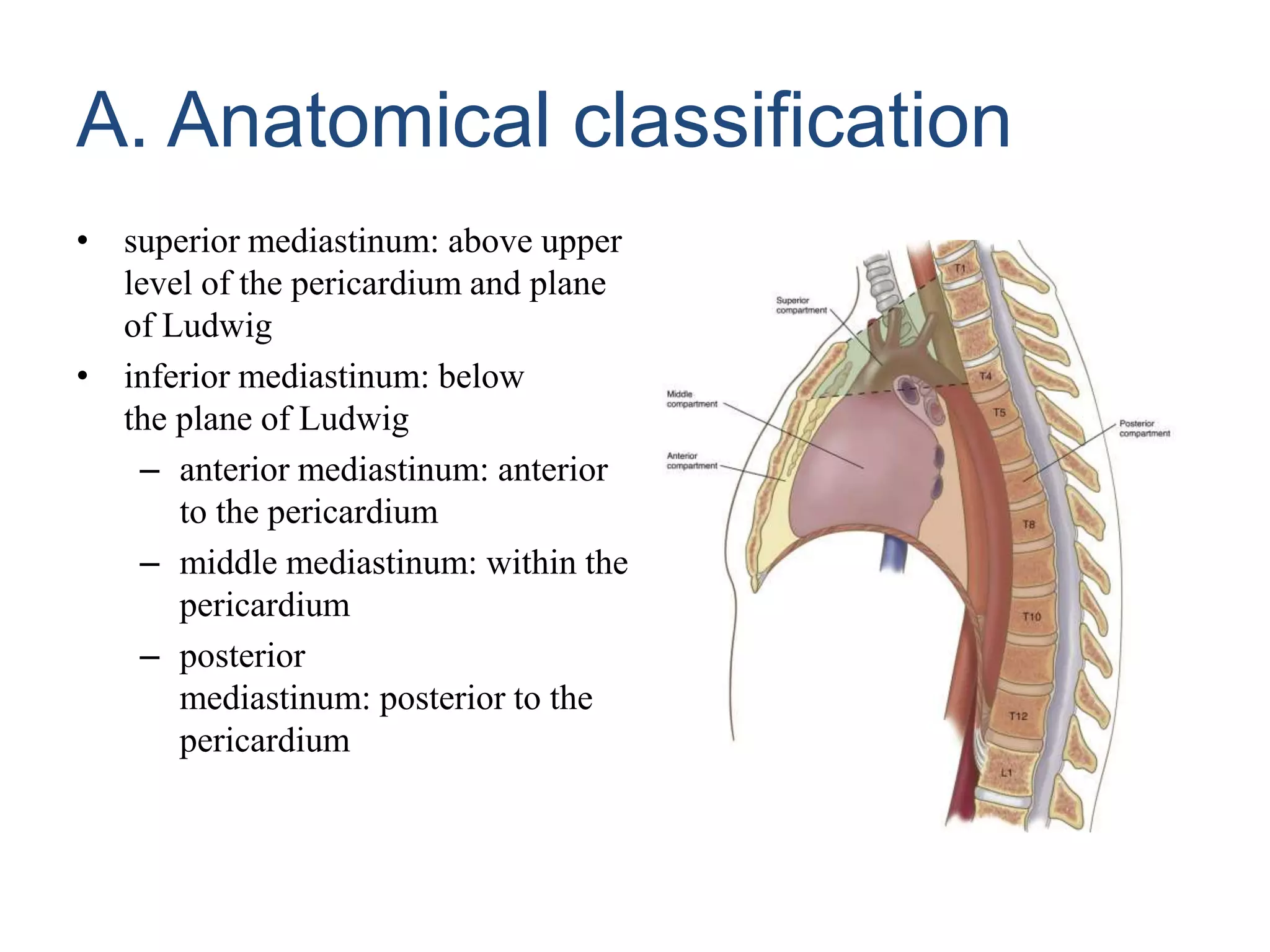 Imaging in mediastinal masses by Dr. Milan Silwal | PPT