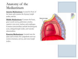 mediastinal_tumor_presentation(1.1).pptx