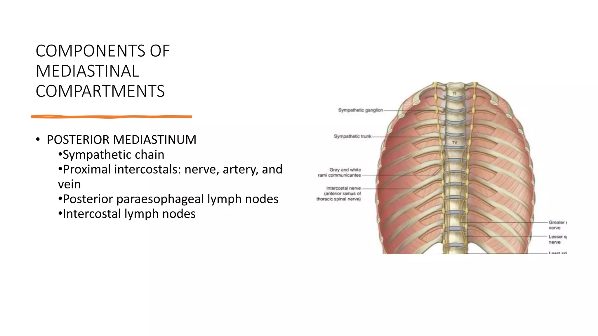 MEDIASTINAL TUMORS | PPTX