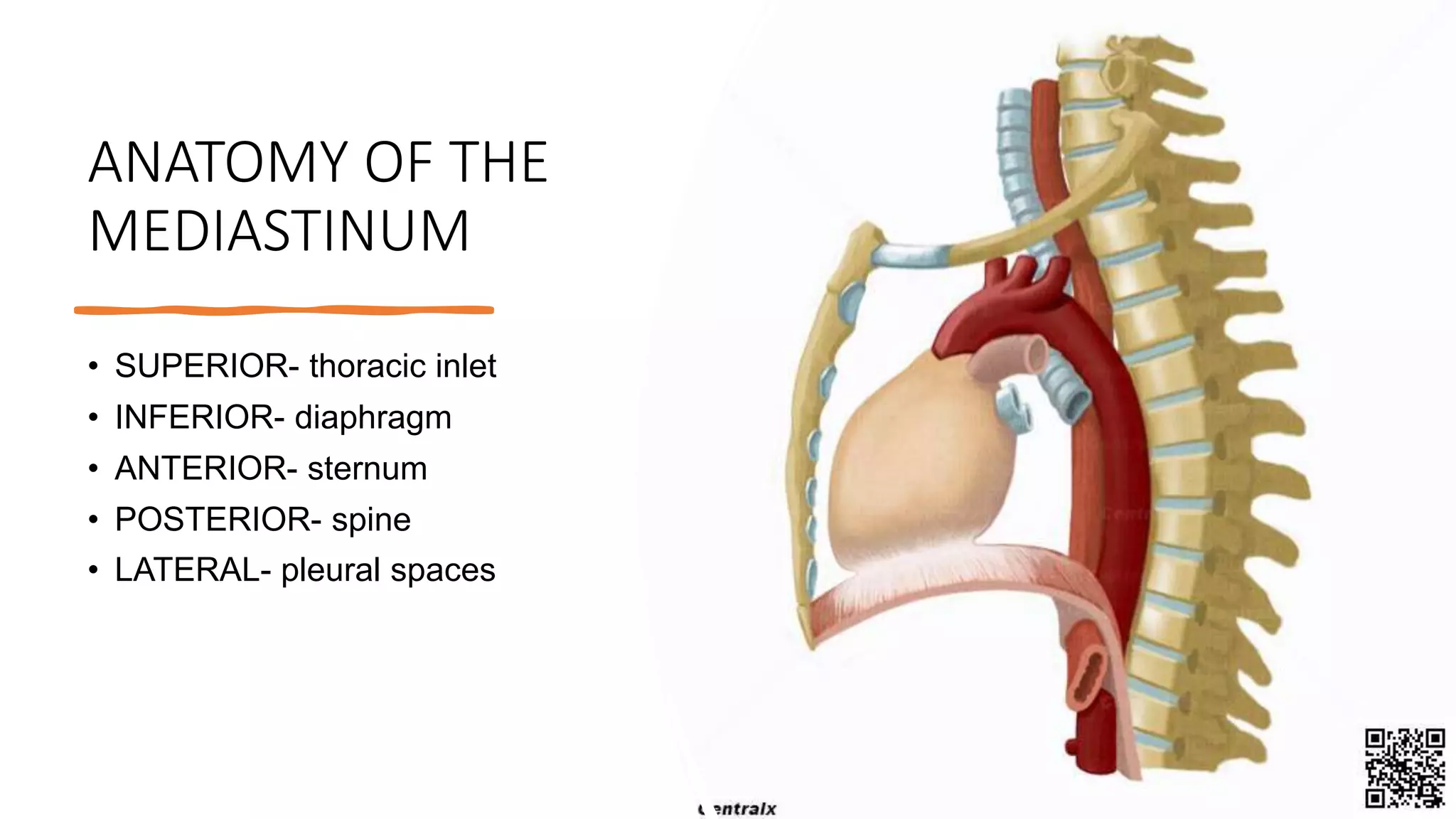 MEDIASTINAL TUMORS | PPTX