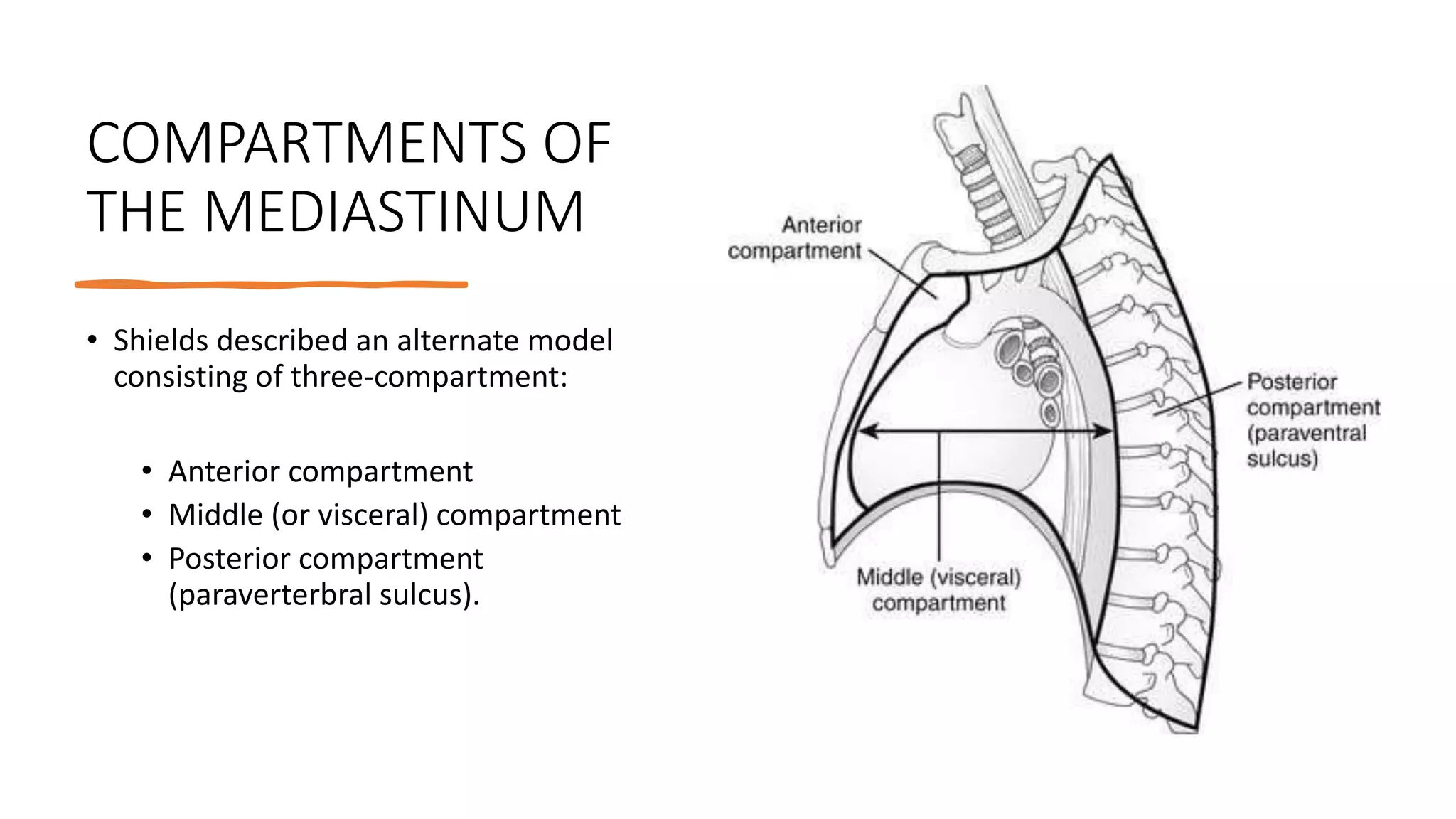 MEDIASTINAL TUMORS | PPTX