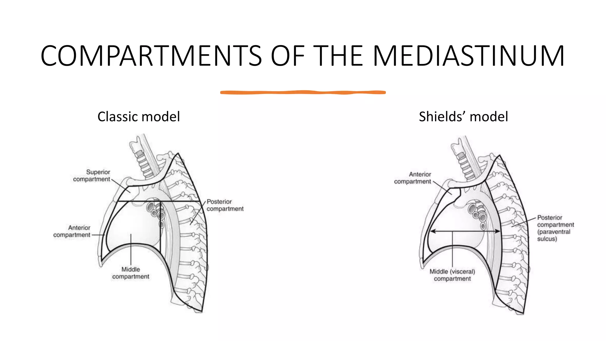 MEDIASTINAL TUMORS | PPTX