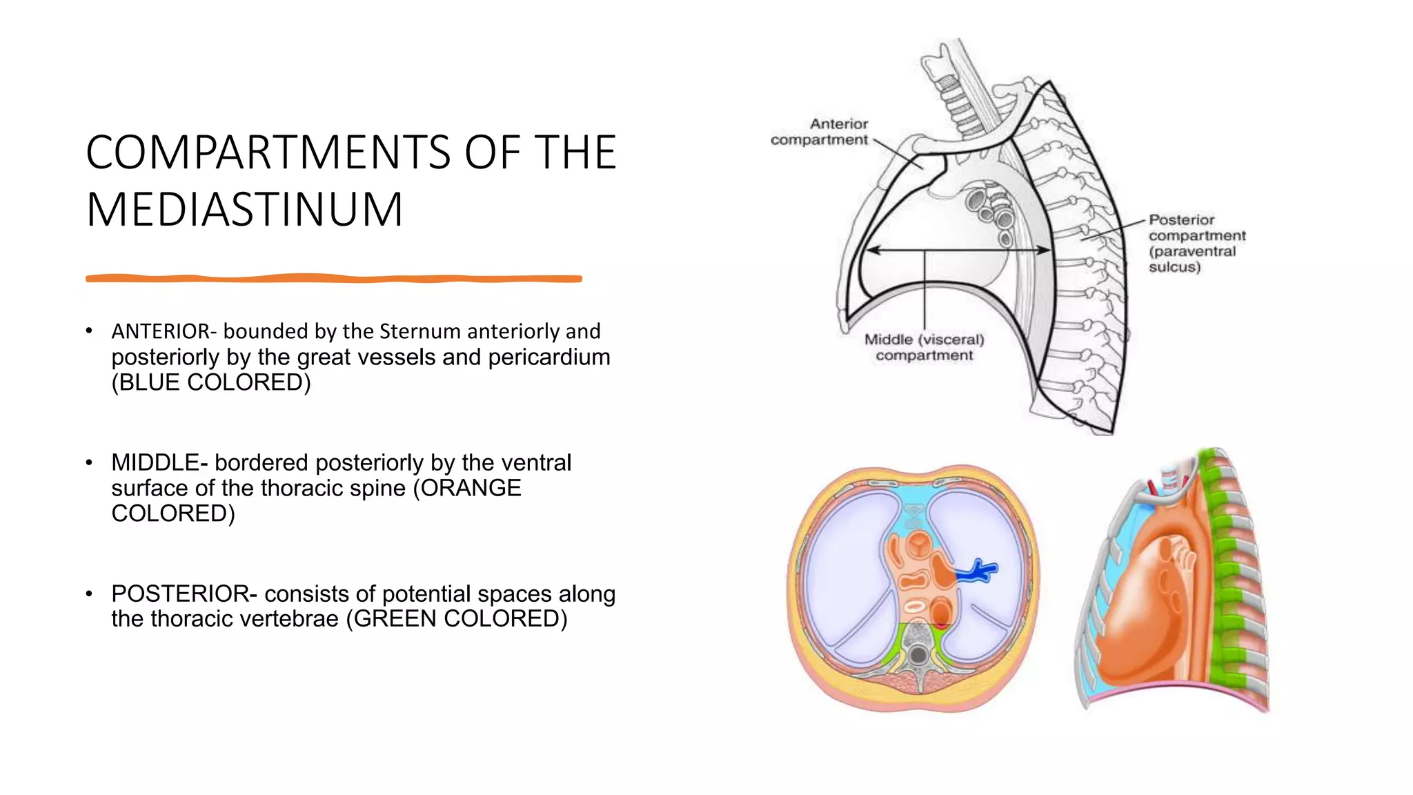 MEDIASTINAL TUMORS | PPTX