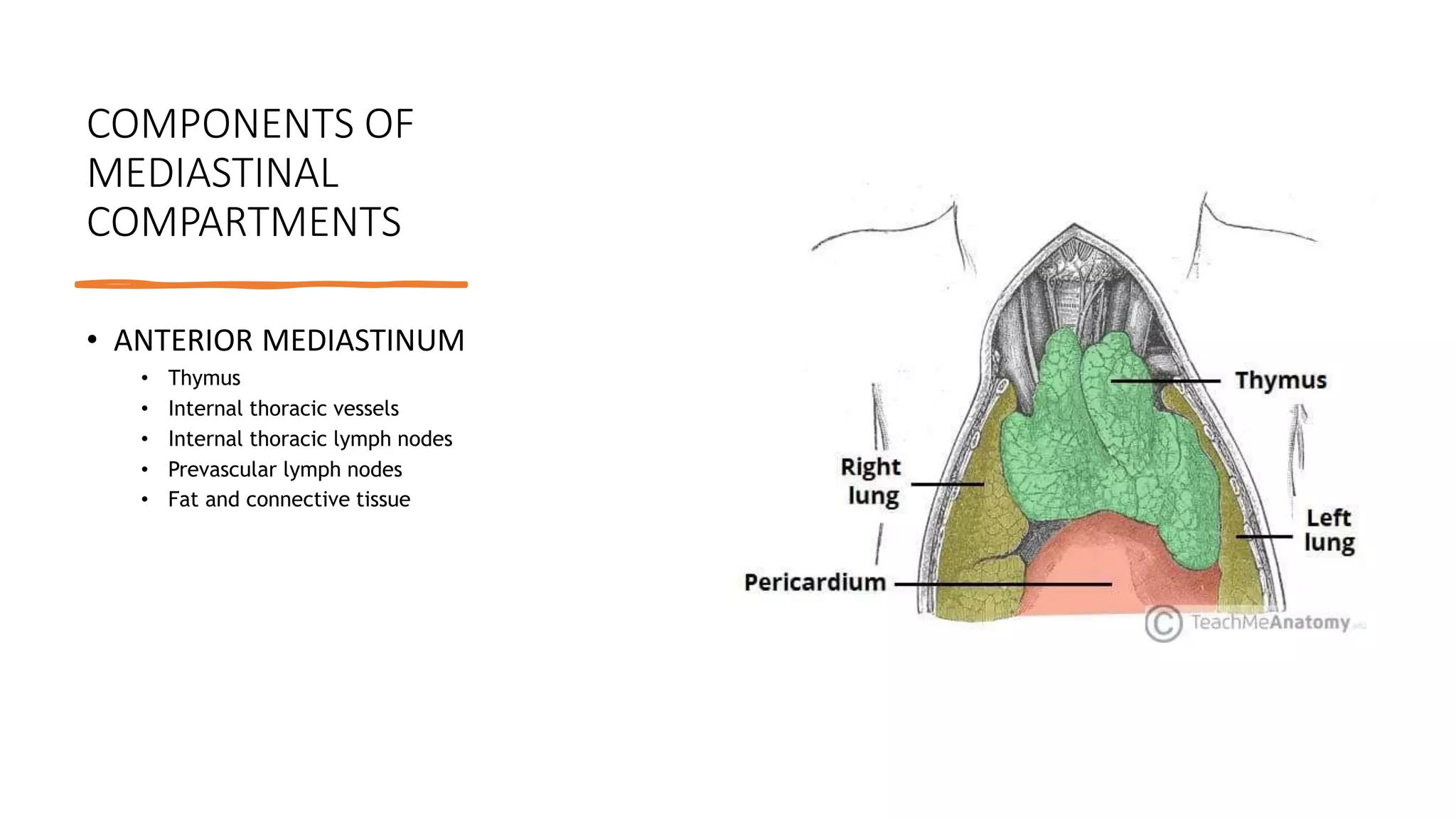 MEDIASTINAL TUMORS | PPTX