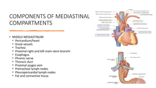 MEDIASTINAL TUMORS | PPTX