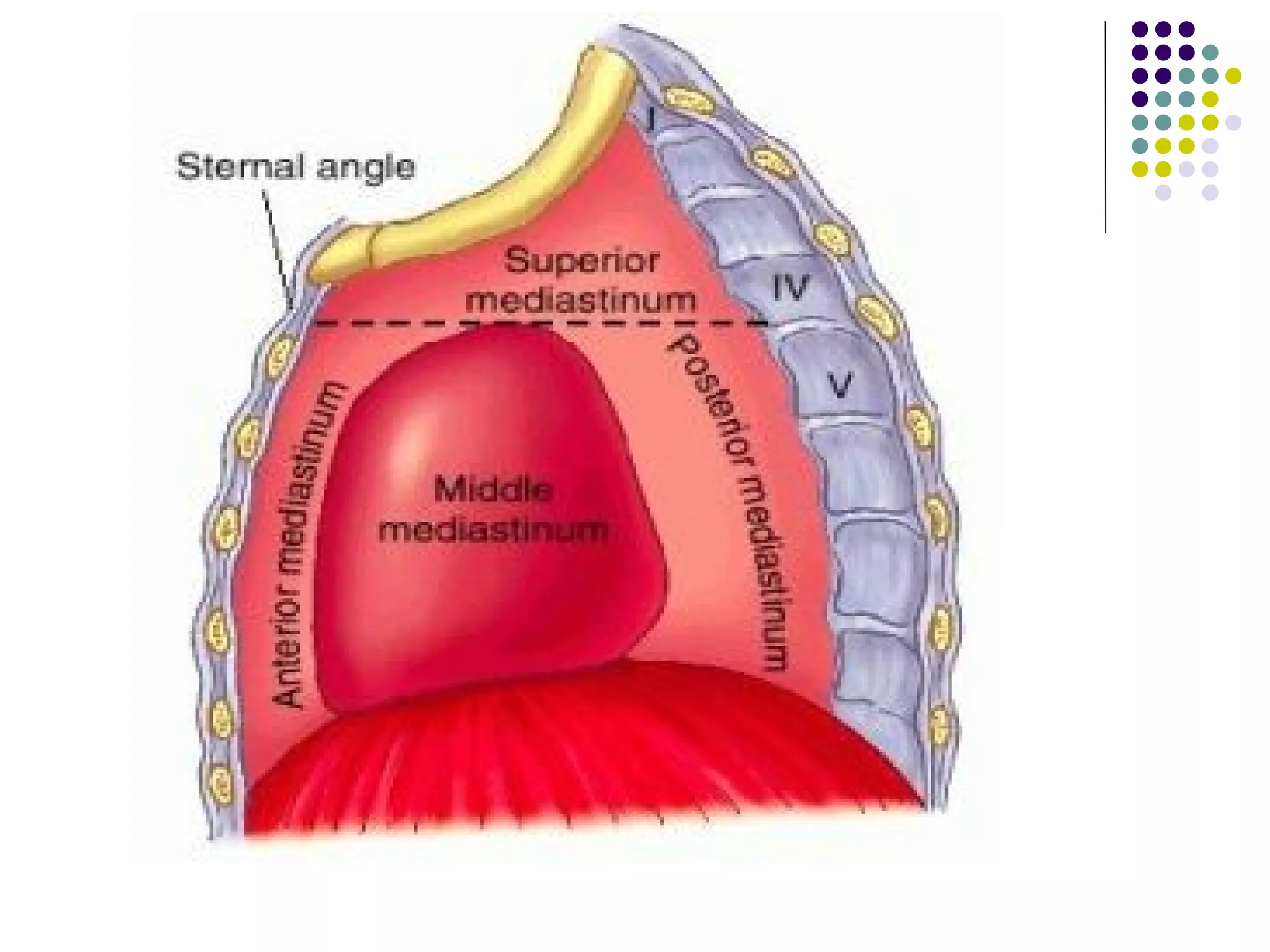 Mediastinal tumours | PPT