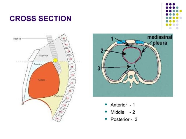 Mediastinal tumours | PPT