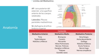 Mediastinis | PPT