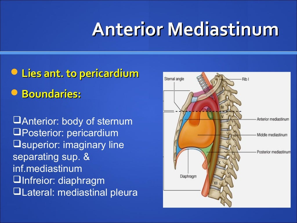 Mediastinal tumors