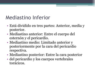 Mediastino | PPSX