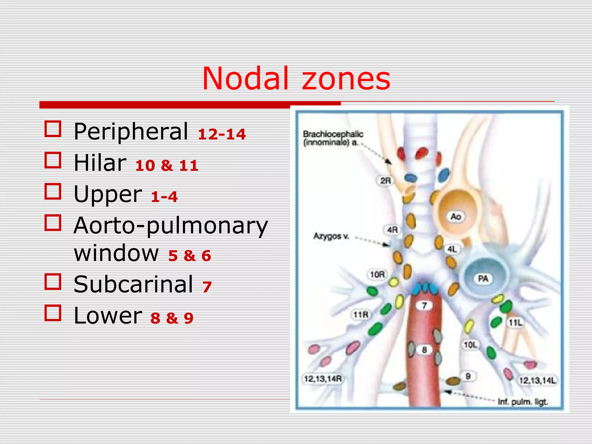 Mediastinoscopy & mediastinotomy indications & techniques | PPT