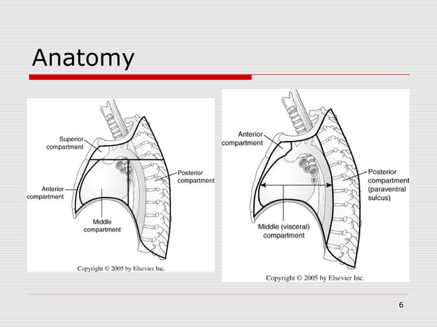 Mediastinoscopy & mediastinotomy indications & techniques