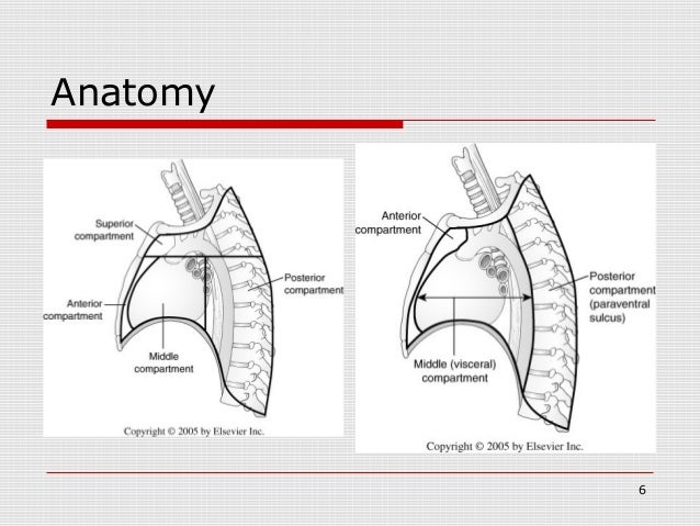 Mediastinoscopy & mediastinotomy indications & techniques