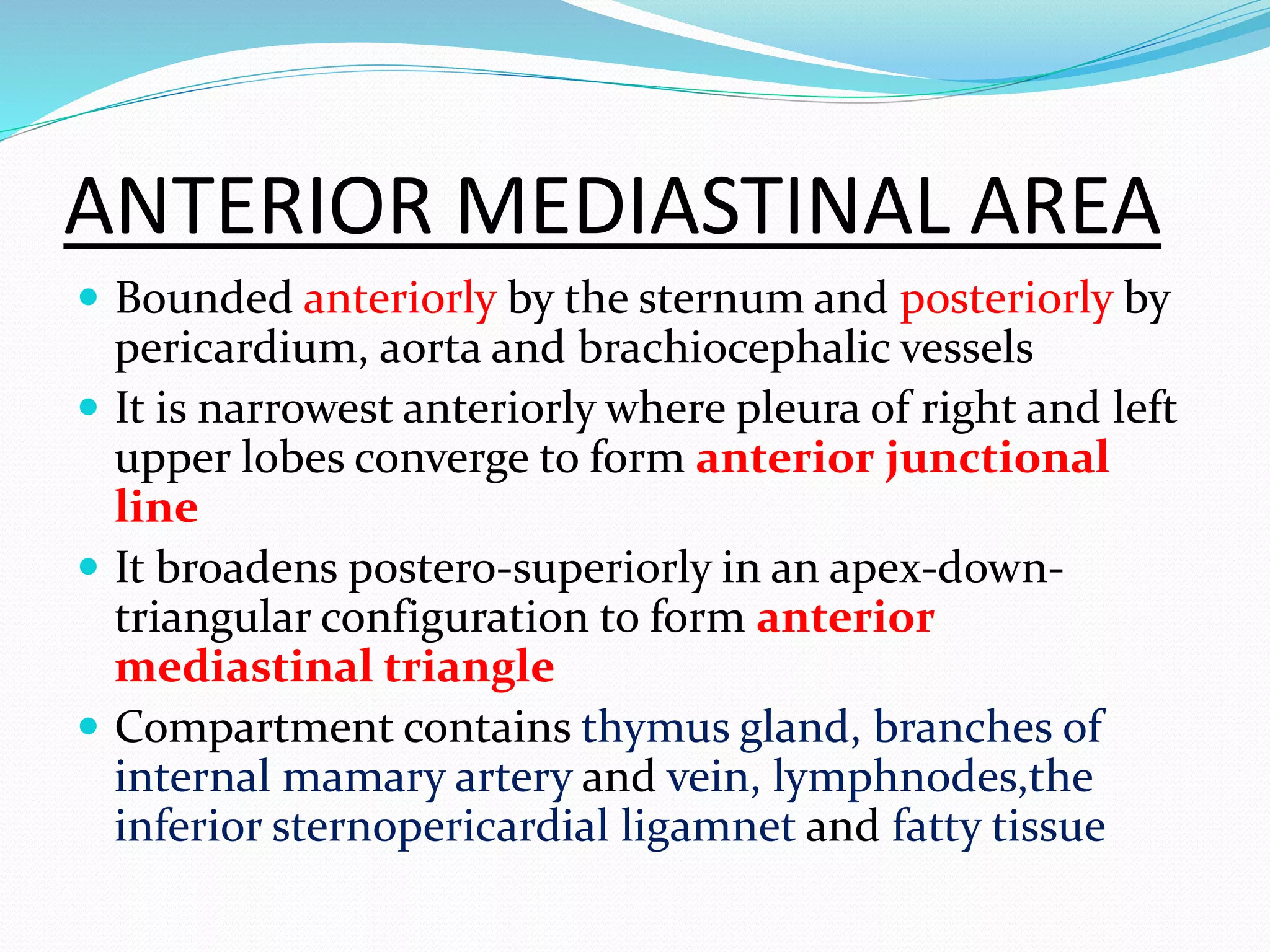 Mediastinum | PPTX