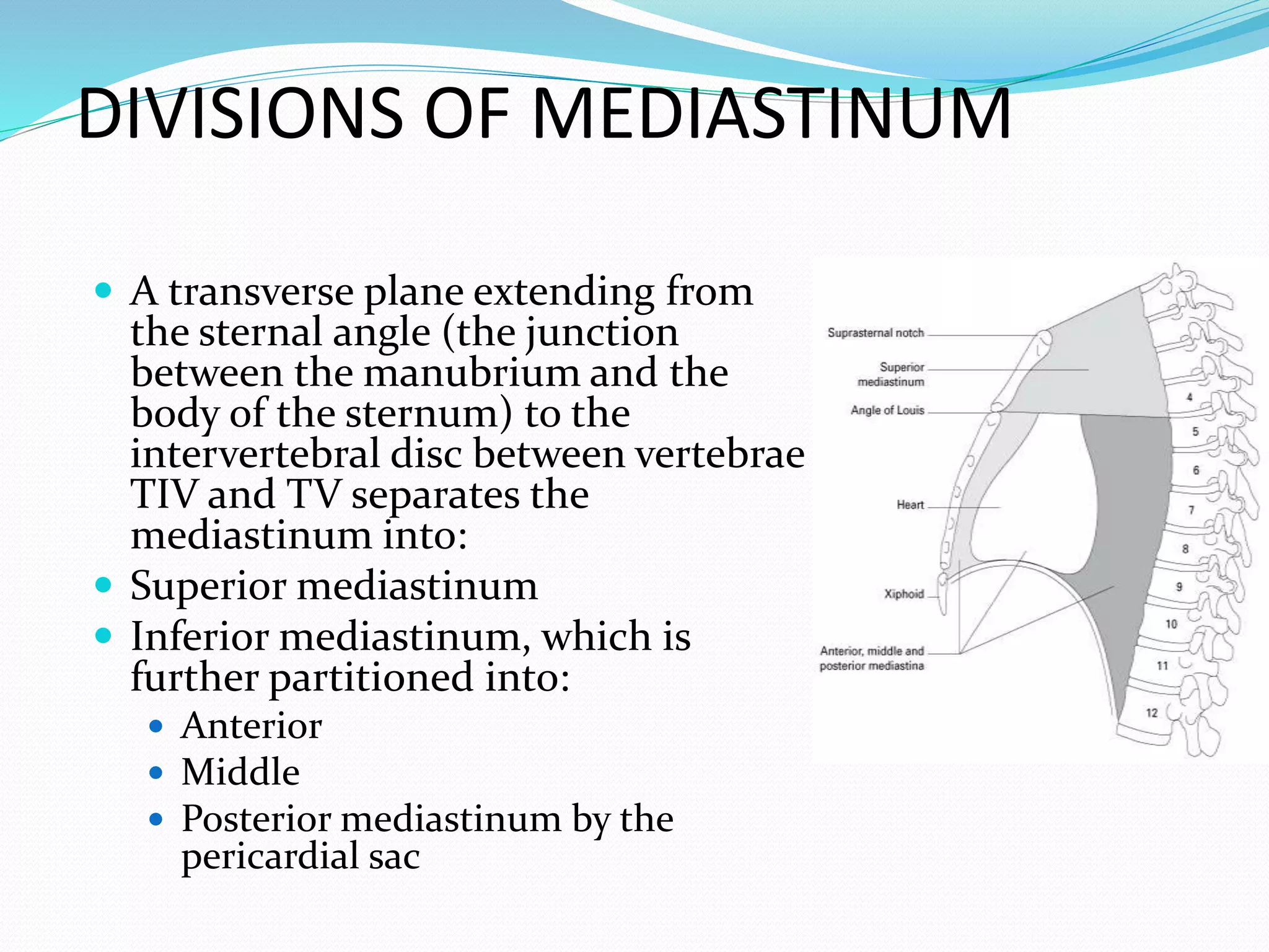 Mediastinum | PPTX