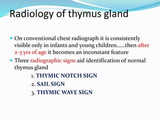 Mediastinum | PPTX
