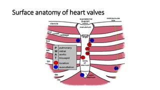 Mediastinum and heart position | PPTX