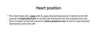 Mediastinum and heart position | PPT