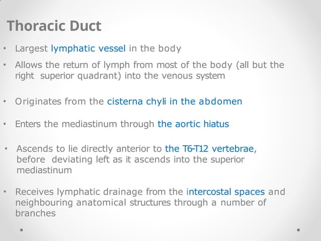 Mediastinum By Dr Rabia Inam Gandapore.pptx | Lung and Respiratory ...