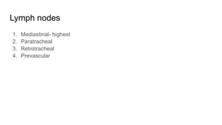 Mediastinum an Introduction, basics in Surgical Anatomy, Diseases and ...