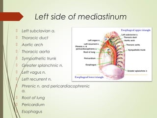 Mediastinum | PPT