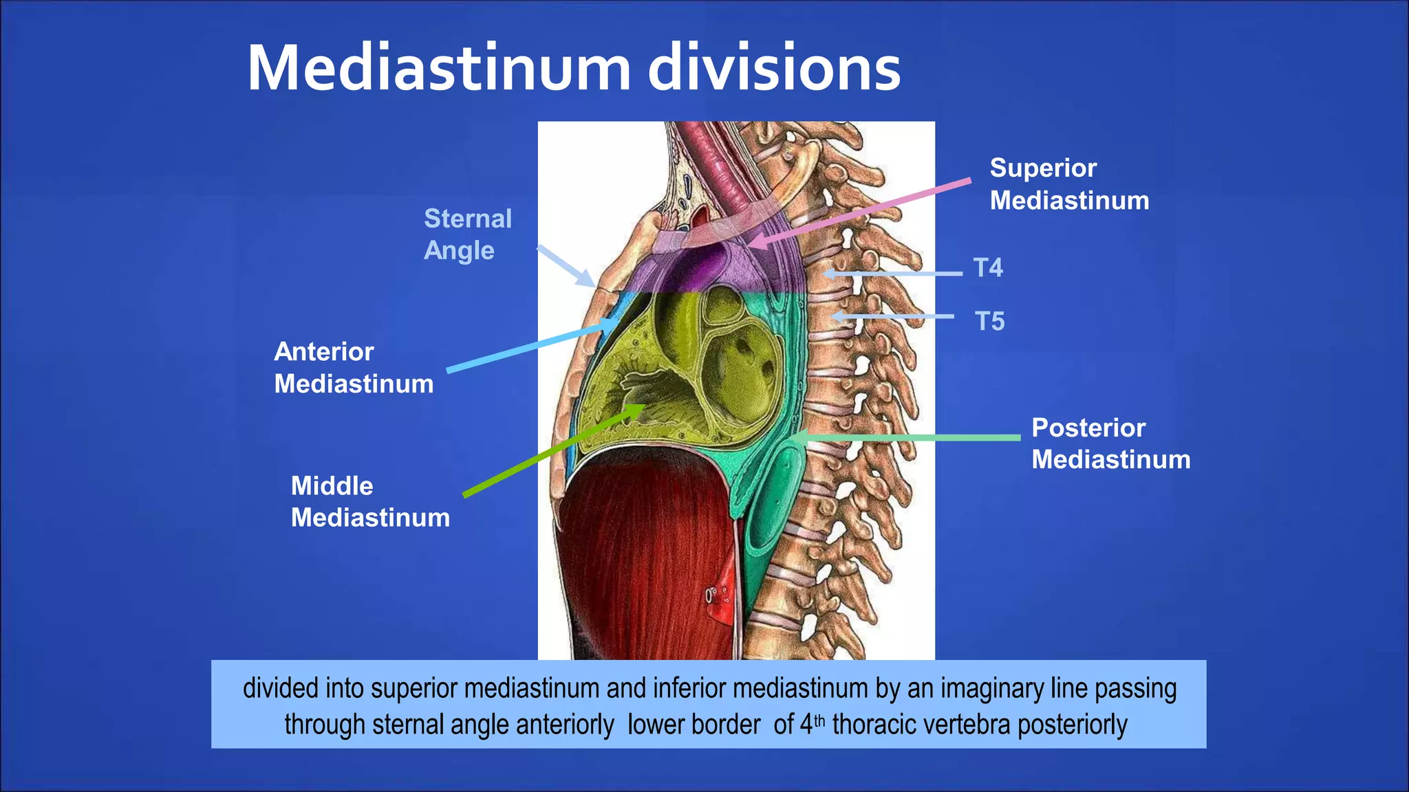 MEDIASTINUM TUMOUR.pptx