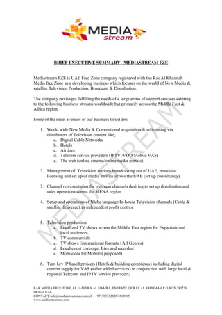 Mediastream Fze Executive Summary (Abriged) 2010 | PDF