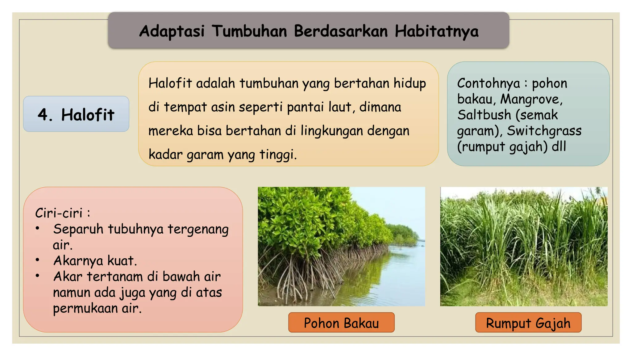 Media tema 2 Subtema 1 IPA kelas enam SD | PPTX