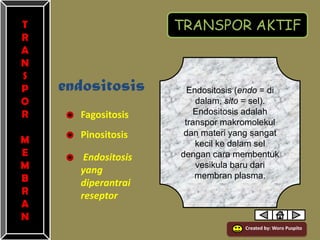 Media & teknologi smt. 3 transpor membran | PPTX